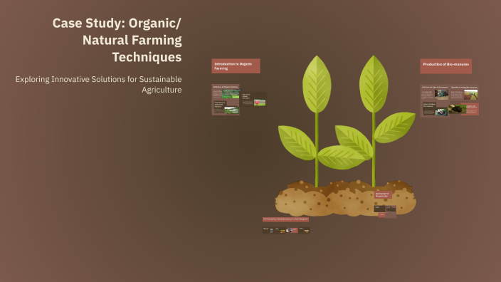 Case Study: Organic/Natural Farming Techniques by 029-BARATHKUMARAN M ...
