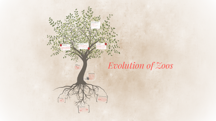 Evolution of Zoos by Gracie Loveland