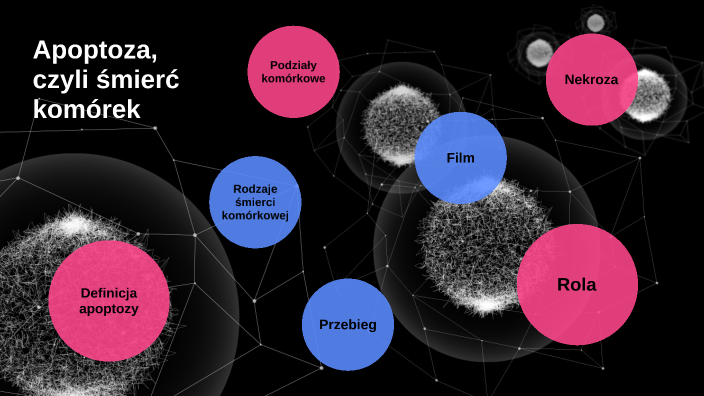 Apoptoza, czyli śmierć komórek by Marta Szynszecka on Prezi