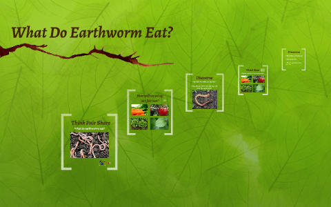 What Do Earthworm Eat? by Kat Alexander on Prezi