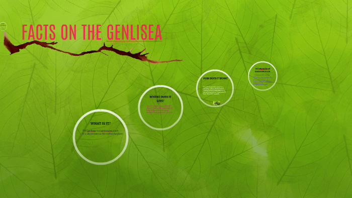 FACTS ON THE GENLISEA by natalia marinero on Prezi