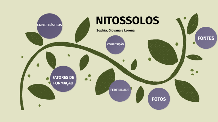 nitossolos by Sophia Flor on Prezi