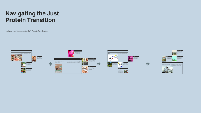 Navigating the Just Protein Transition by Manuela Braganholo on Prezi