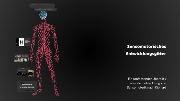 Sensomotorisches Entwicklungsgitter by Jannik Arend on Prezi