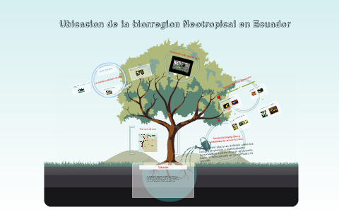Biodiversidad de la bioregion del choco by Daya Mndz Johegyi on Prezi