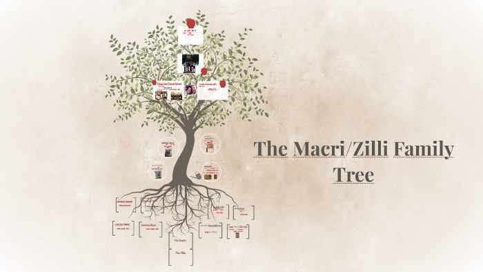 The Macri/Zilli Family Tree by Susanna S on Prezi
