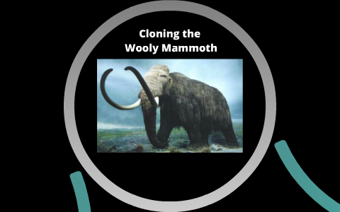 Cloning Wooly Mammoth by Bryce Dingwell on Prezi