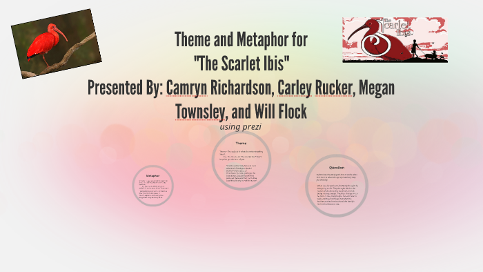 Theme and Metaphor for "The Scarlet Ibis" by Camryn Richardson on Prezi