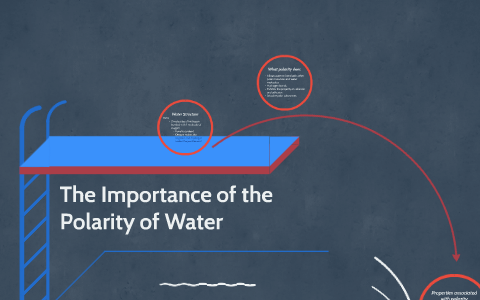 The Importance of the Polarity of Water by Sophia Negad on Prezi
