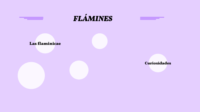 Flámines by Blanca Flórez Matoso on Prezi