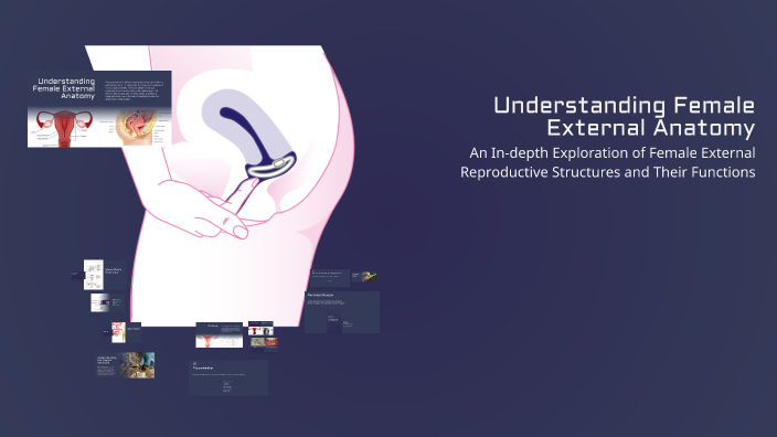 Understanding Female External Anatomy by Michael Baguinat on Prezi