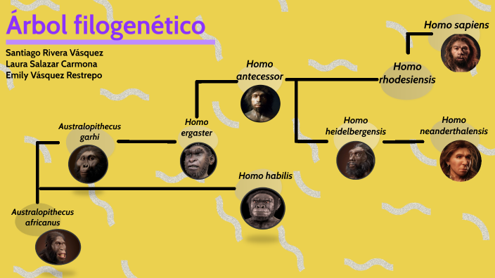 árbol filogenético by SANTIAGO RIVERA on Prezi