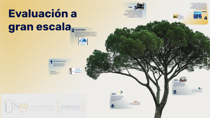 Evaluación a gran escala by Zuleima Reatiga on Prezi