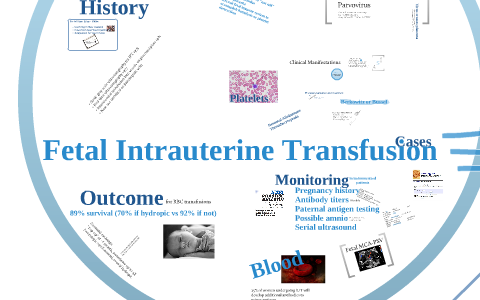 Fetal Intrauterine Transfusion by Colleen Hendershott on Prezi
