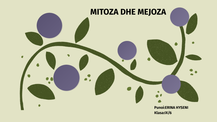 Mitoza dhe mejoza by Erina Hyseni on Prezi