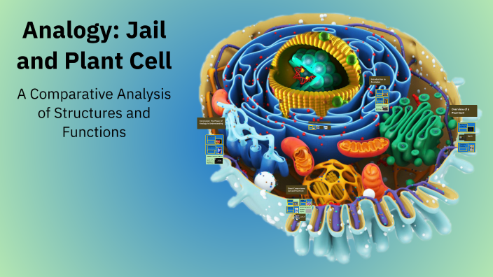 Analogy: Jail and Plant Cell by e45rtyuh detfcvygbhjn on Prezi