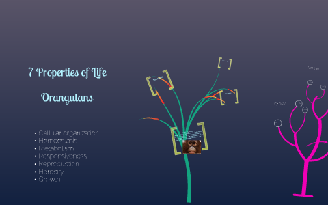 7 Properties of Life by Hilary Willis on Prezi