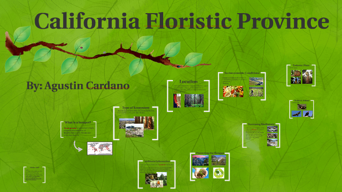 California Floristic Province Hotspot Presentation by Agus Cardano
