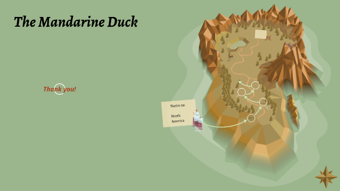 Native to: by Nick Forlenza on Prezi