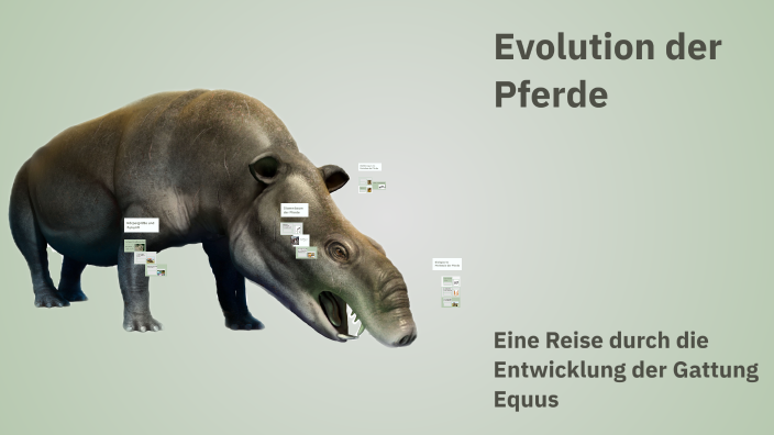 Evolution der Pferde by Annaleen B on Prezi