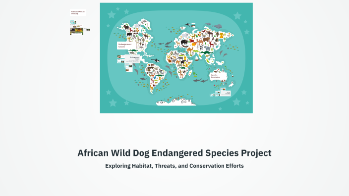 African Wild Dog Endangered Species Project by Lucy Schwab on Prezi