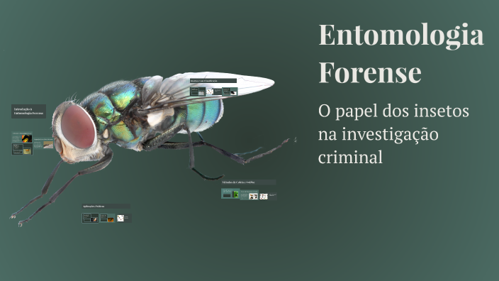 Entomologia Forense by Breno Silva on Prezi