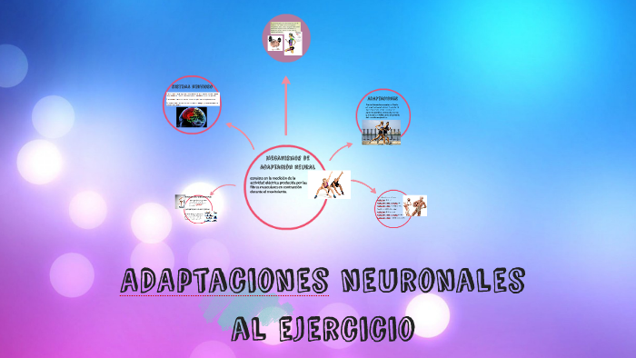 ADAptaciones neuronales by Alexa Jimenez on Prezi