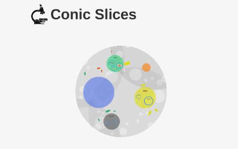 Conic Slices by garrett bone