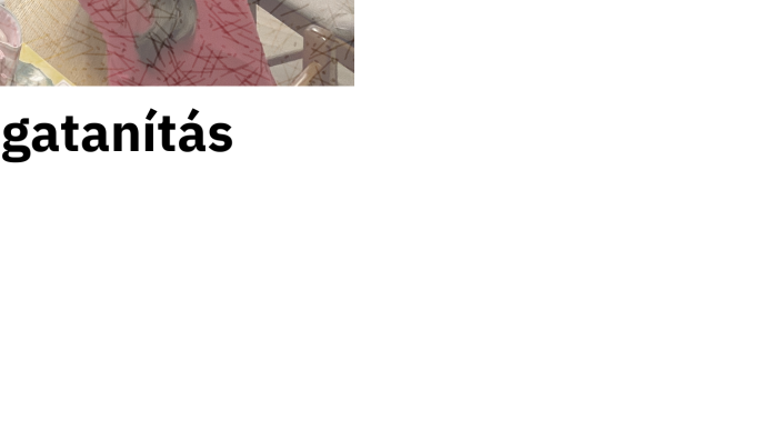 Földrajz Vizsgatanítás Megvédése by Dora Fabian on Prezi