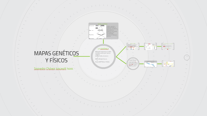 MAPAS GENÉTICOS Y FÍSICOS by Joscwalt Saavedra Chávez on Prezi