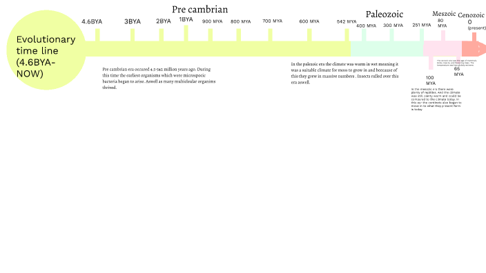 Eras timeline by Bralyn Byrd on Prezi