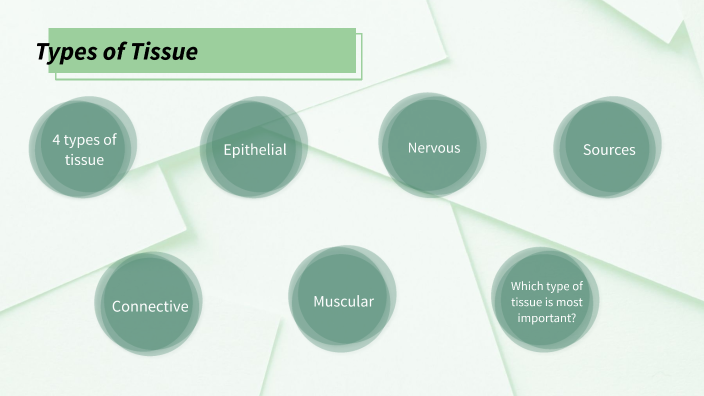 Types of tissues by Laura Deel on Prezi