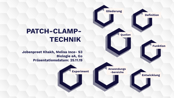 Patch-Clamp-Technik by Melisa Ince on Prezi