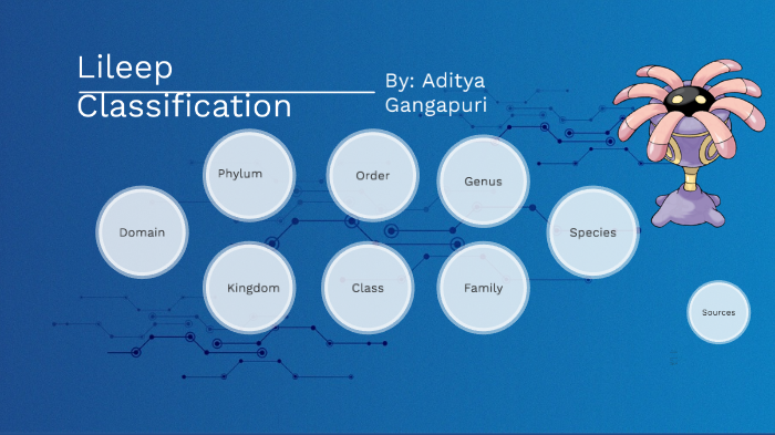 Lileep Classification by Aditya Gangapuri on Prezi