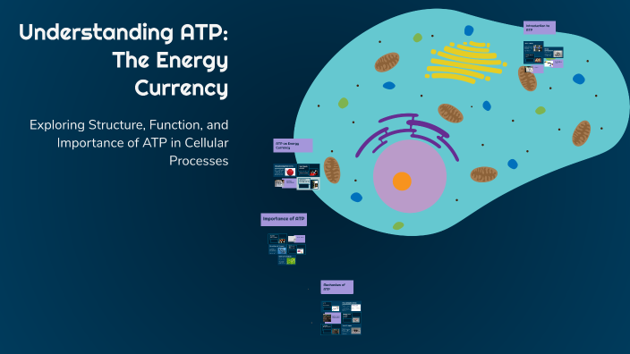 Understanding ATP: The Energy Currency by Yousef Hammad on Prezi