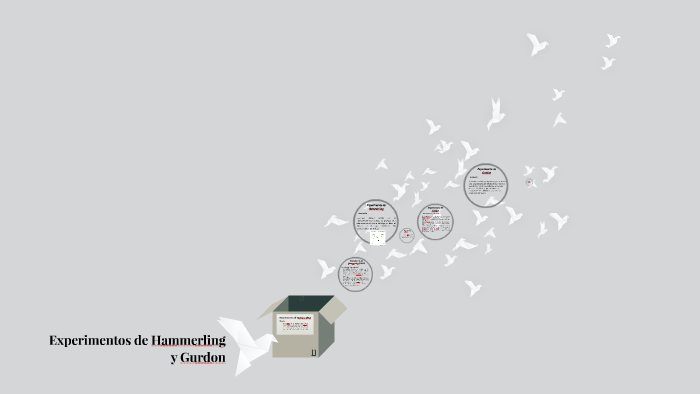Experimentos de Hammerling y Gurdon by mijal kiverstein on Prezi