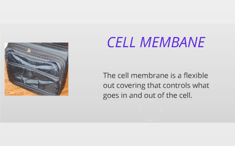 cell in a bag project #1 by k w on Prezi