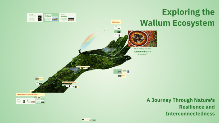 Exploring the Wallum Ecosystem by Adrian Malone on Prezi