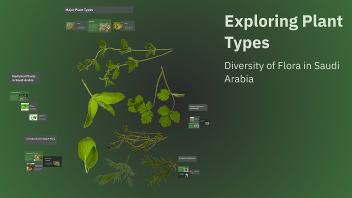 Exploring Plant Types by Ghada A on Prezi