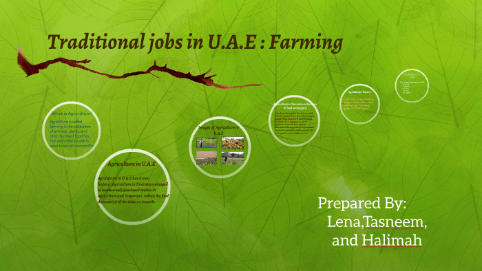 Traditional jobs in U.A.E : Farming by Halimah Nurul Aini on Prezi