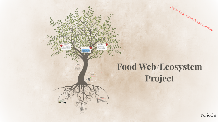 Food Web/Ecosystem Project by Melissa Geller