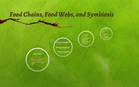 Food Chains, Food Webs, and Symbiosis by Morgan Potter on Prezi