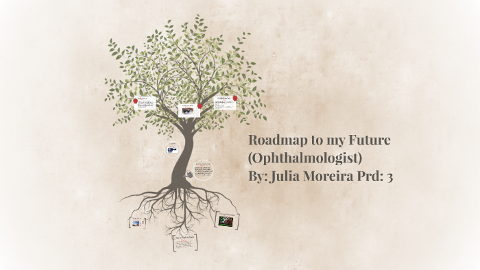 Roadmap to my Future by Julia M on Prezi