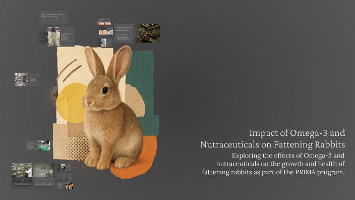 Impact of Omega-3 and Nutraceuticals on Fattening Rabbits by Nour ...