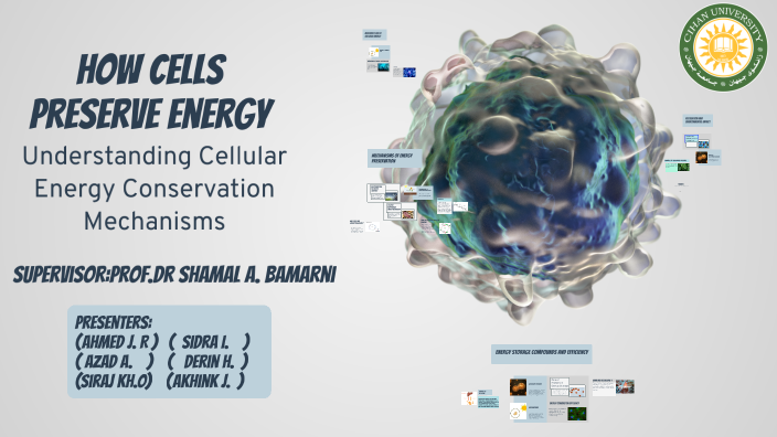 How Cells Preserve Energy by ahmad ramadhan on Prezi