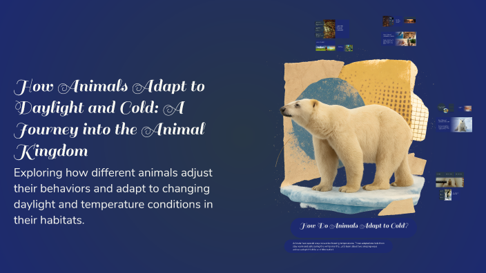How Animals Adapt to Daylight and Cold: A Journey into the Animal ...