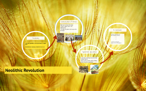 Neolithic Revolution and Early River Civilizations by Lindsey Manuel ...