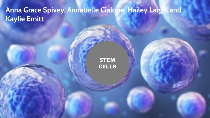 STEM CELLS by ANNA GRACE SPIVEY on Prezi