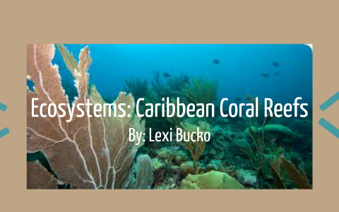 Ecosystems- Caribbean Coral Reef by Lexi Bucko on Prezi