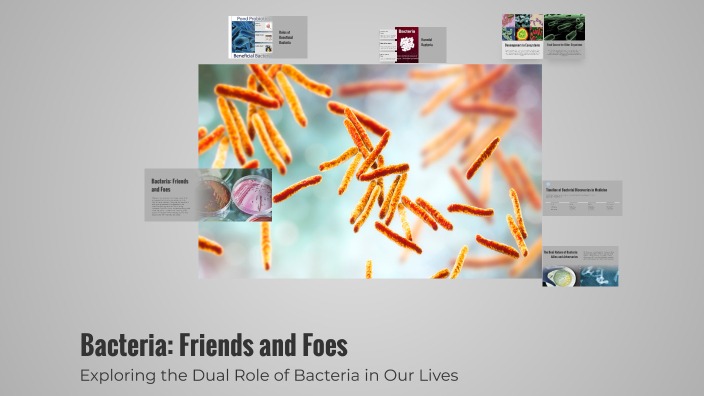 Bacteria: Friends and Foes by Maria Mikhailovа on Prezi